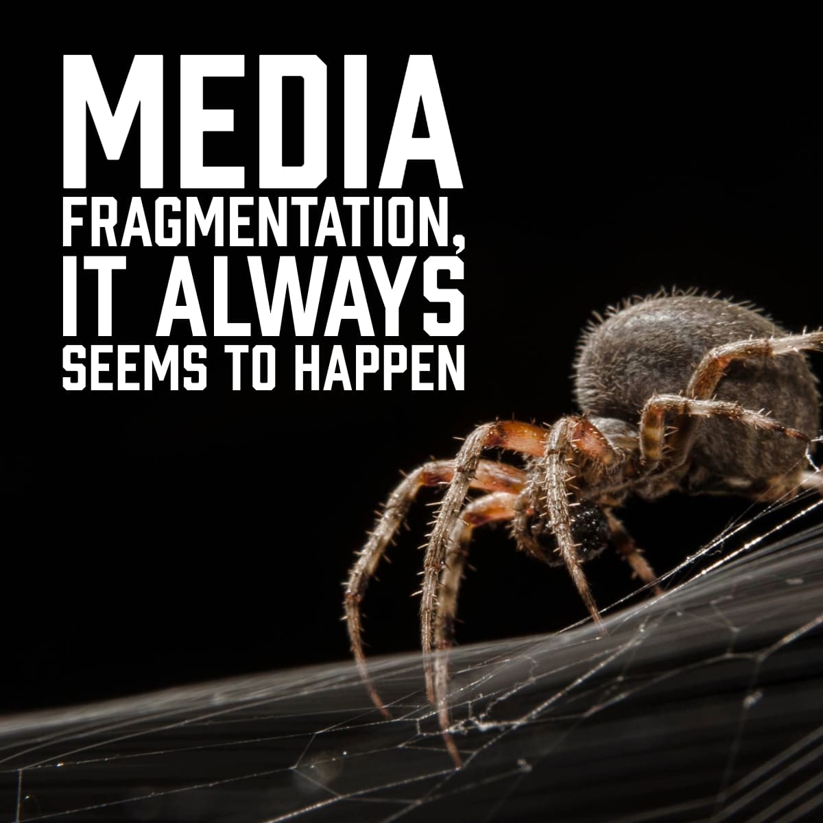 Media Fragmentation | Marketing Strategy | Medford Oregon Paradux