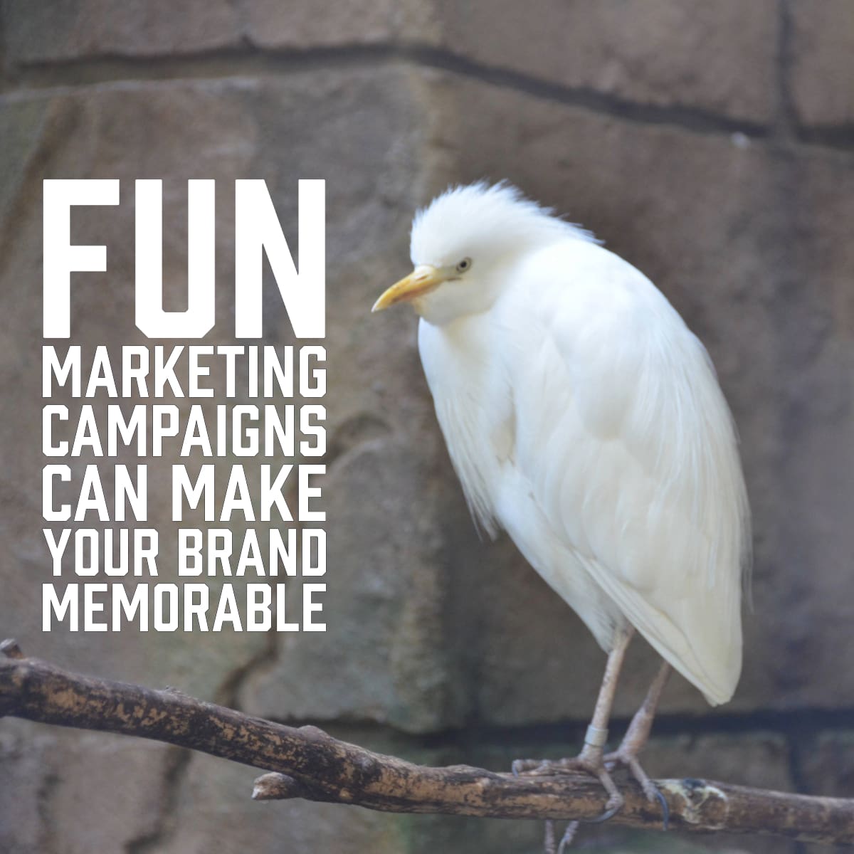 Fun Marketing Campaigns Make Your Brand Memorable