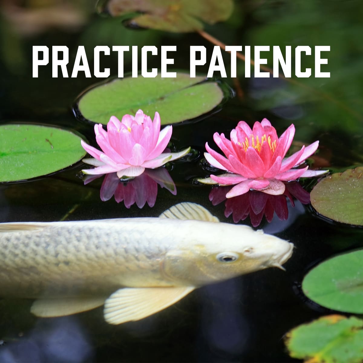 Local Business Owners Practice Patience | Southern Oregon