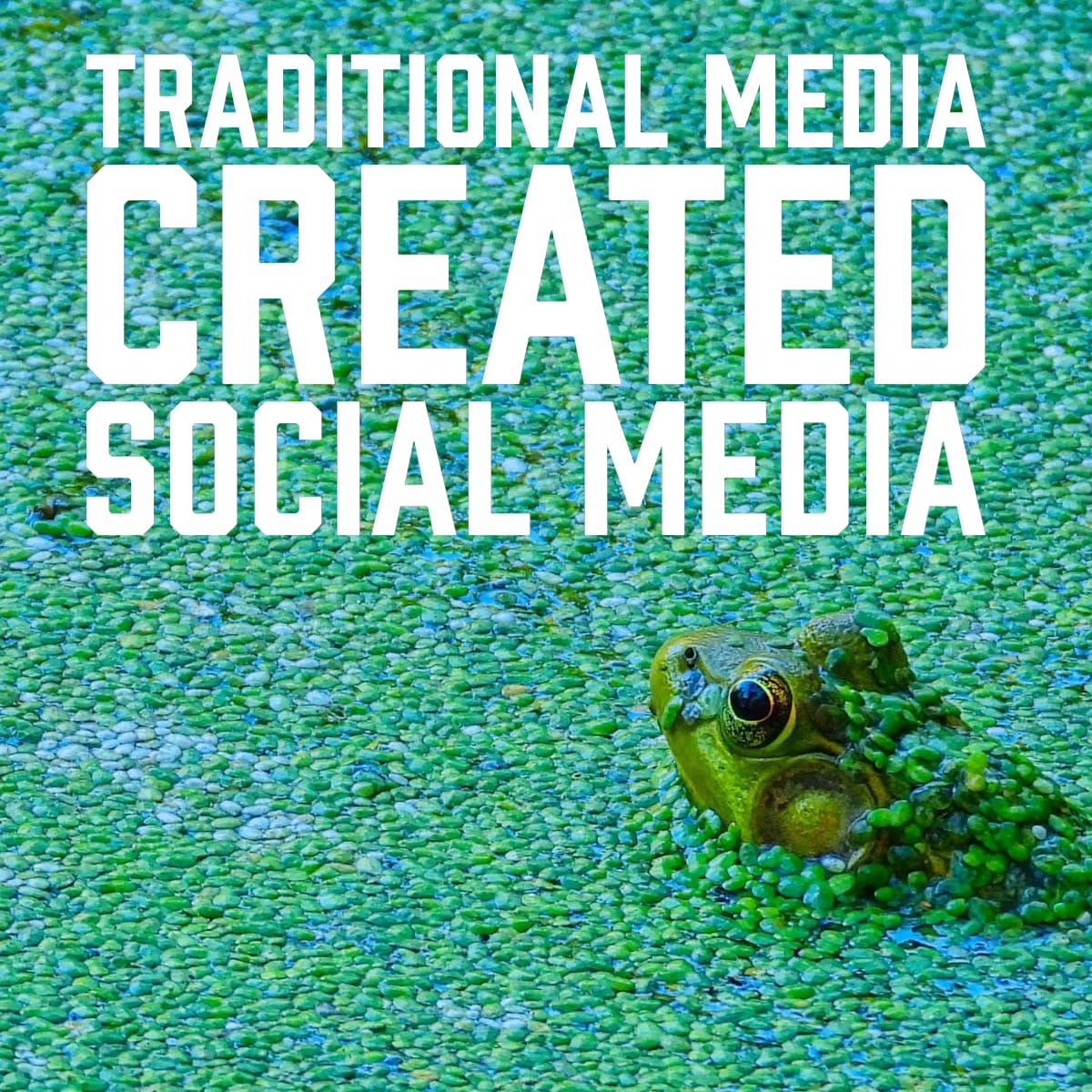 Traditional Media Created Social Media | Paradux Media Group