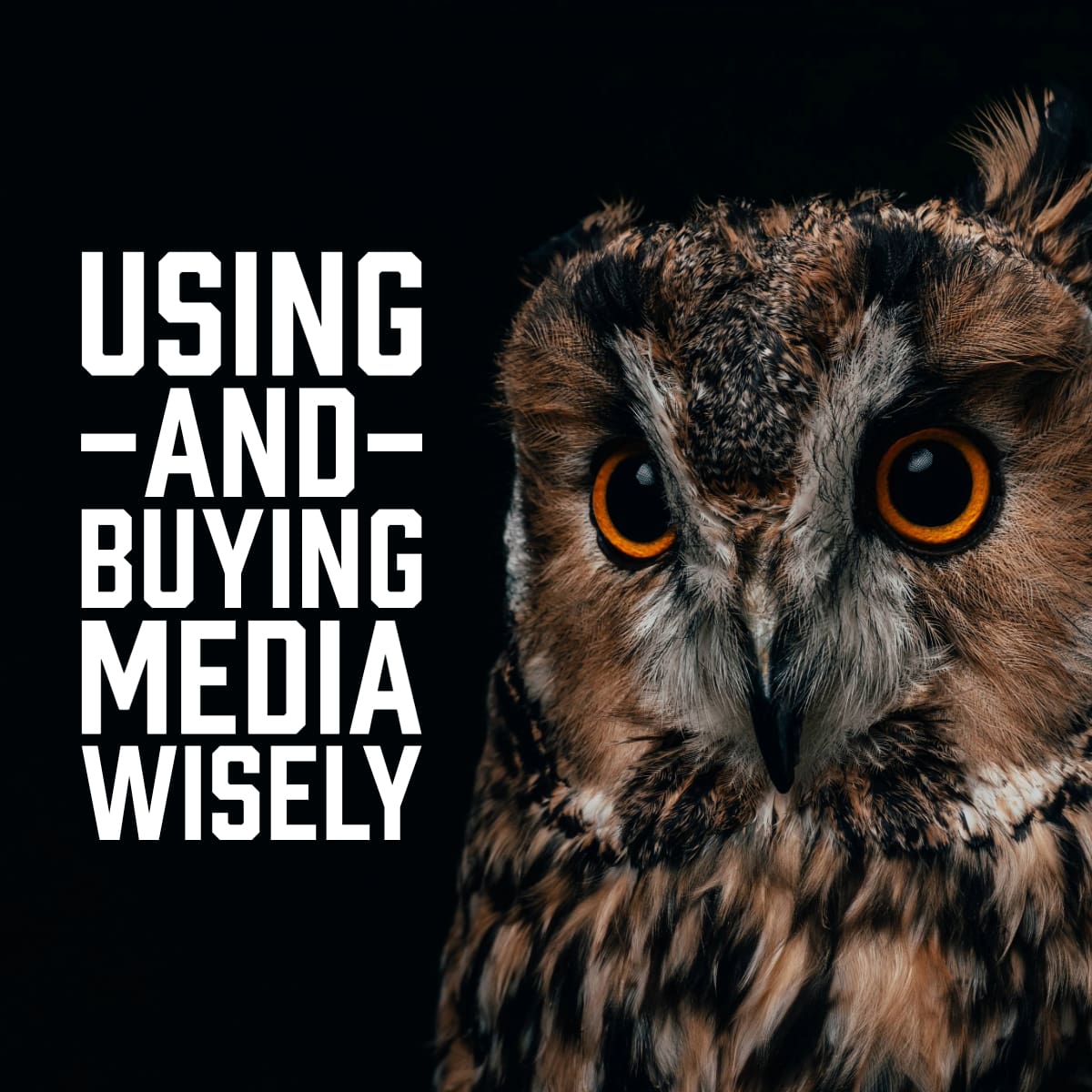 Using and Buying Media Wisely | Paradux Media Group