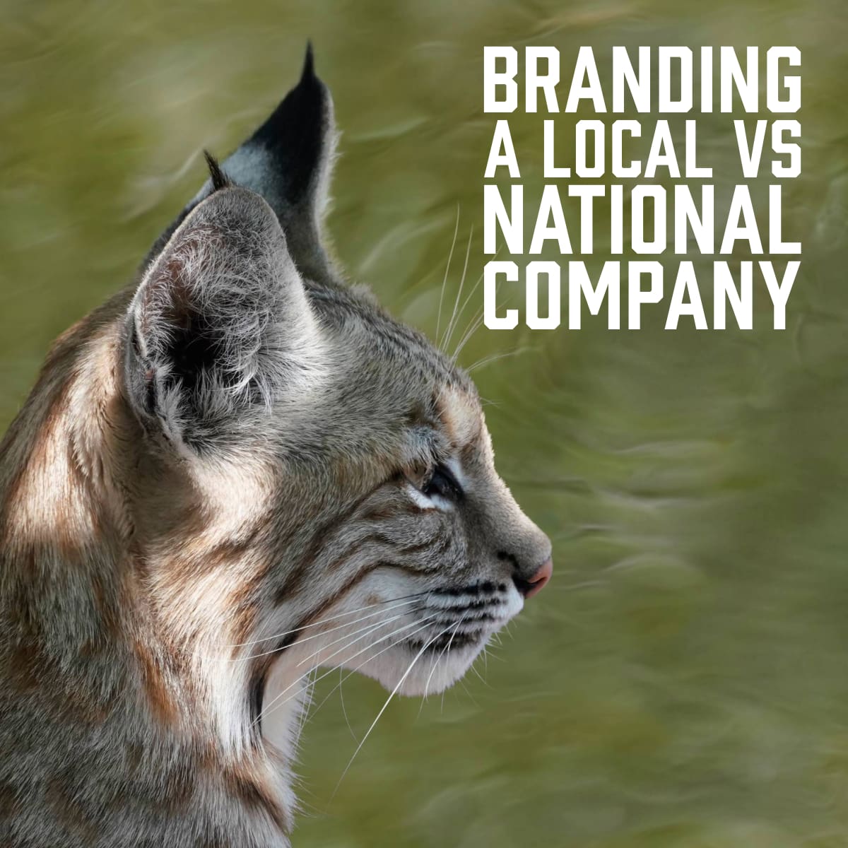 Branding A Local vs National Company