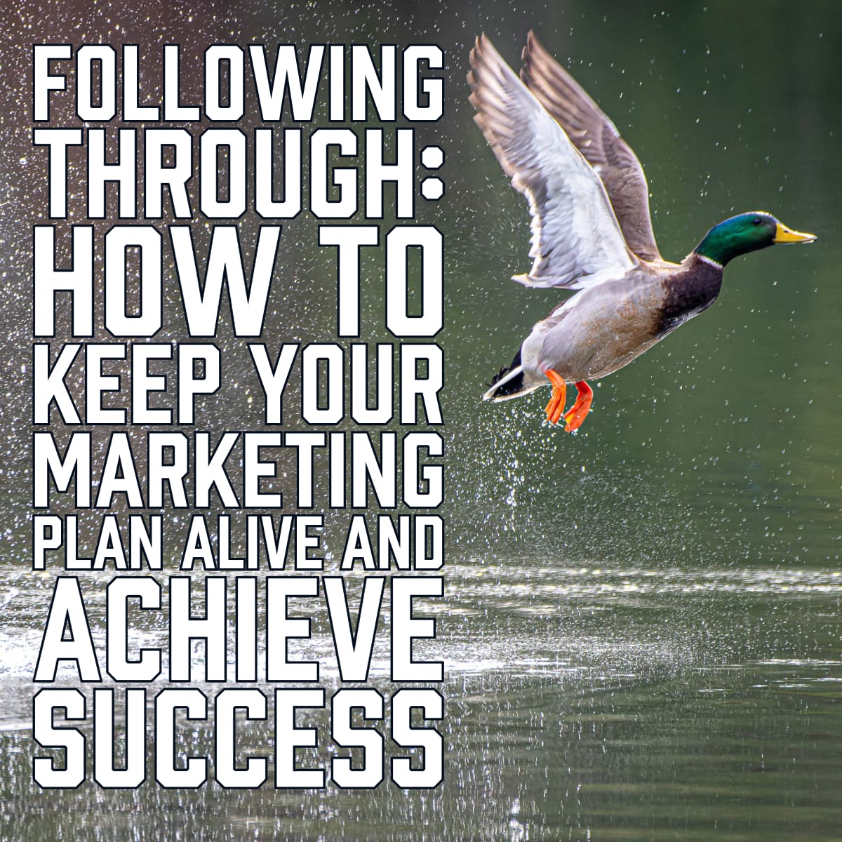 Keep Your Marketing Plan Alive | Paradux Media Group