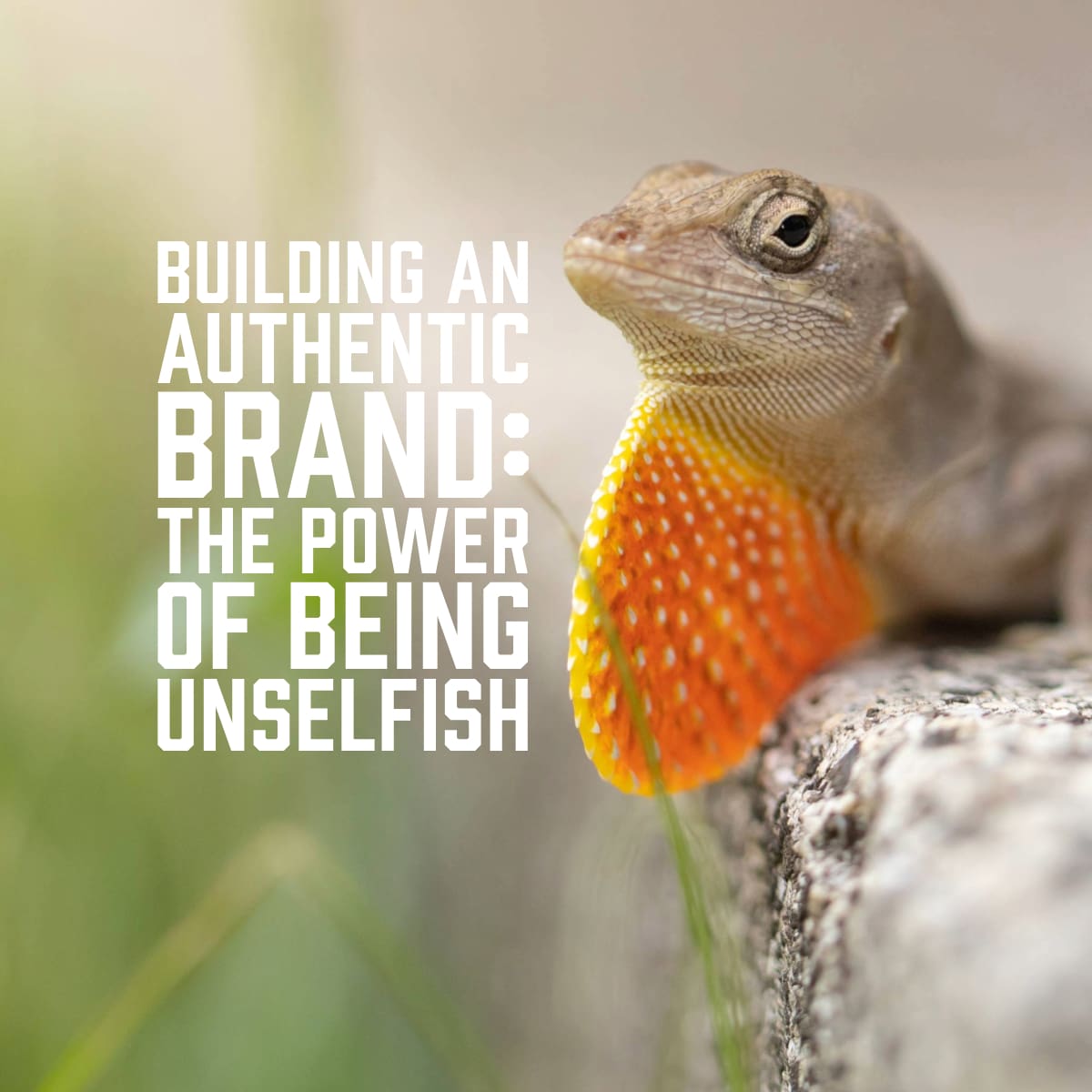 Building an Authentic Brand: The Power of Being Unselfish | Paradux ...