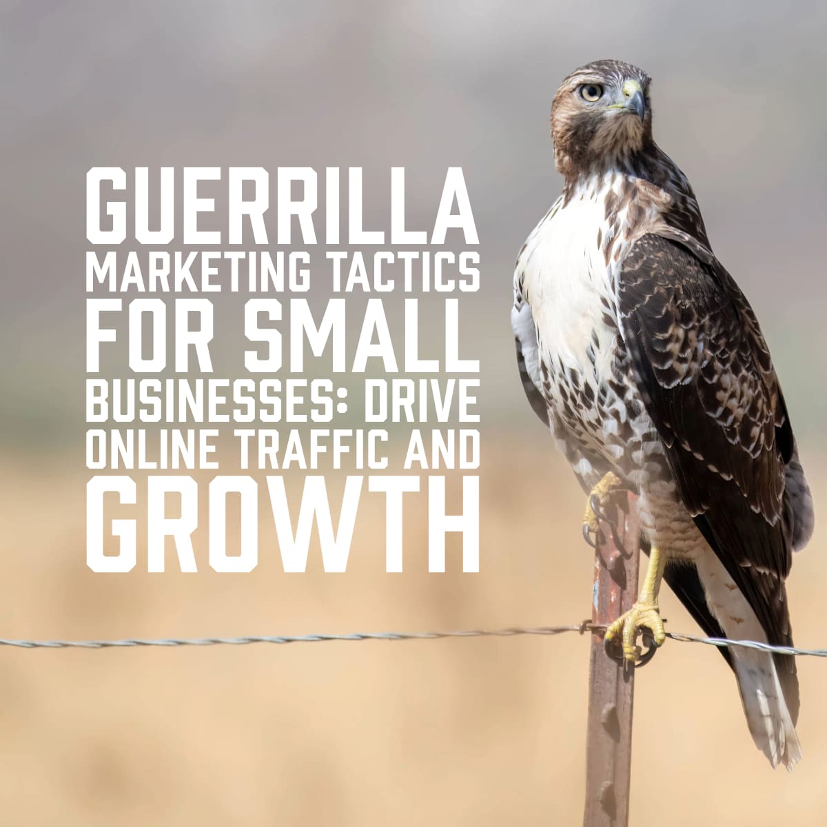 Guerrilla Marketing Tactics for Small Businesses | Paradux Media Group