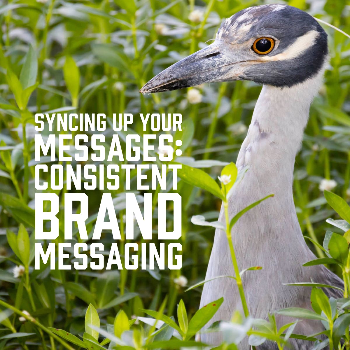 Syncing up Your Messages: Consistent Brand Messaging | Paradux Media Group