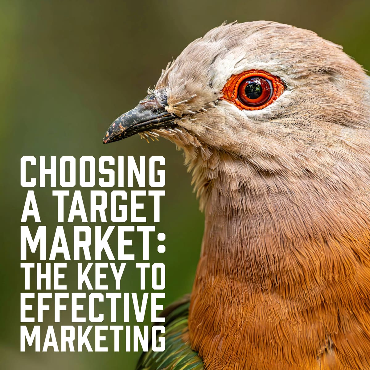 Choosing a Target Market: The Key to Effective Marketing | Paradux ...