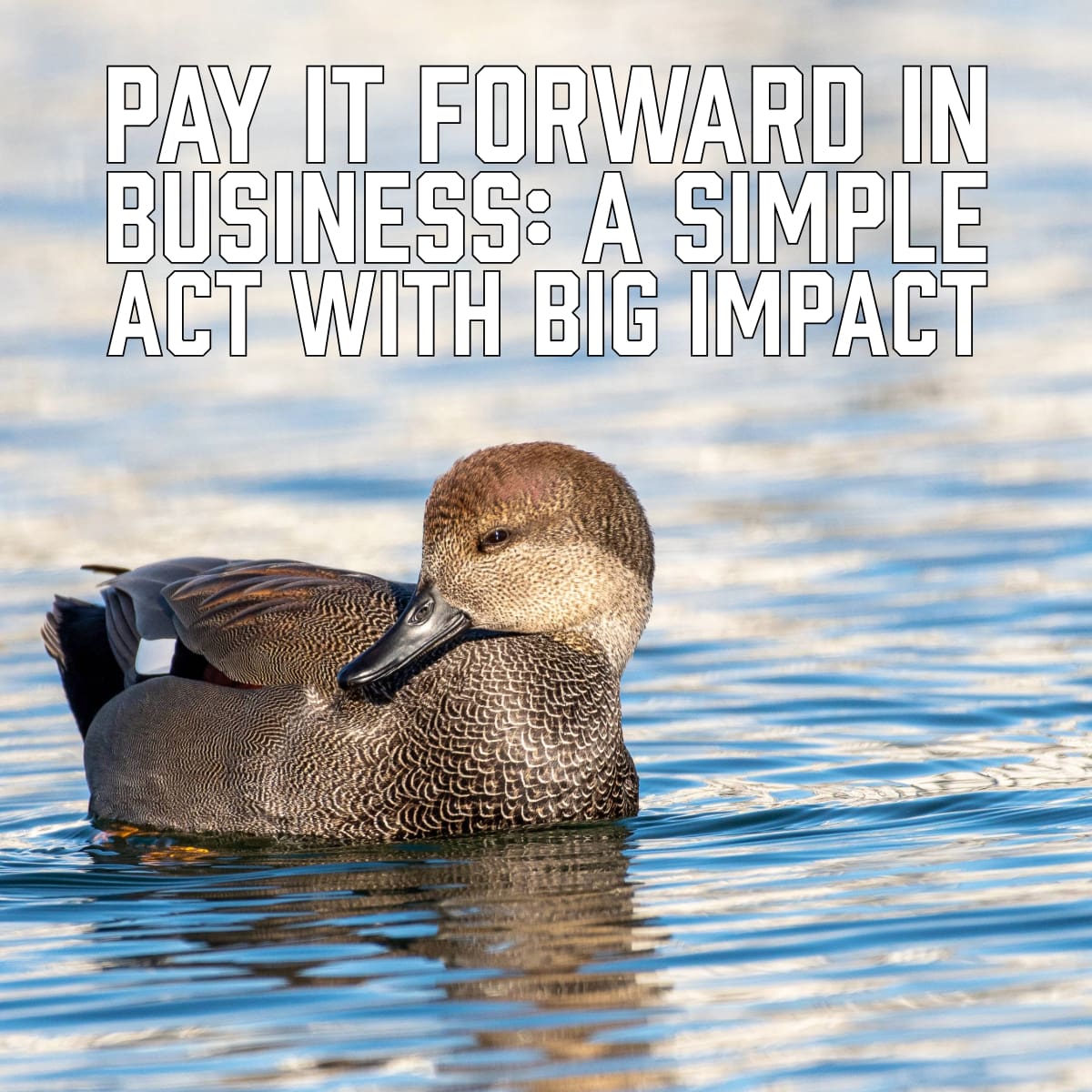 Pay it Forward in Business: A Simple Act with Big Impact | Paradux ...