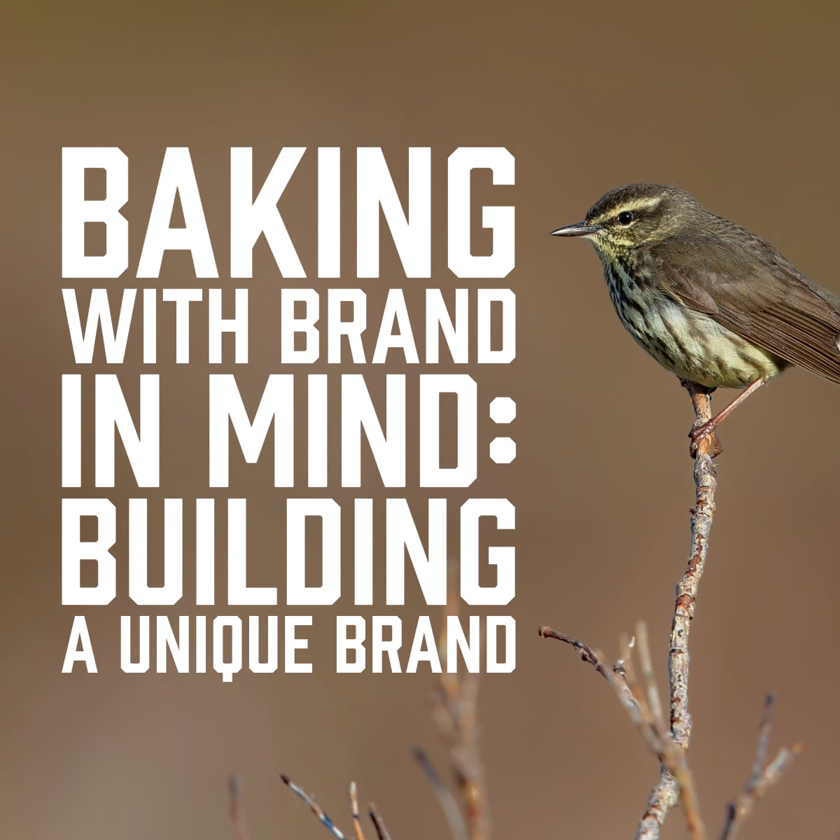 Baking with Brand in Mind: Building a Unique Brand | Paradux Media Group