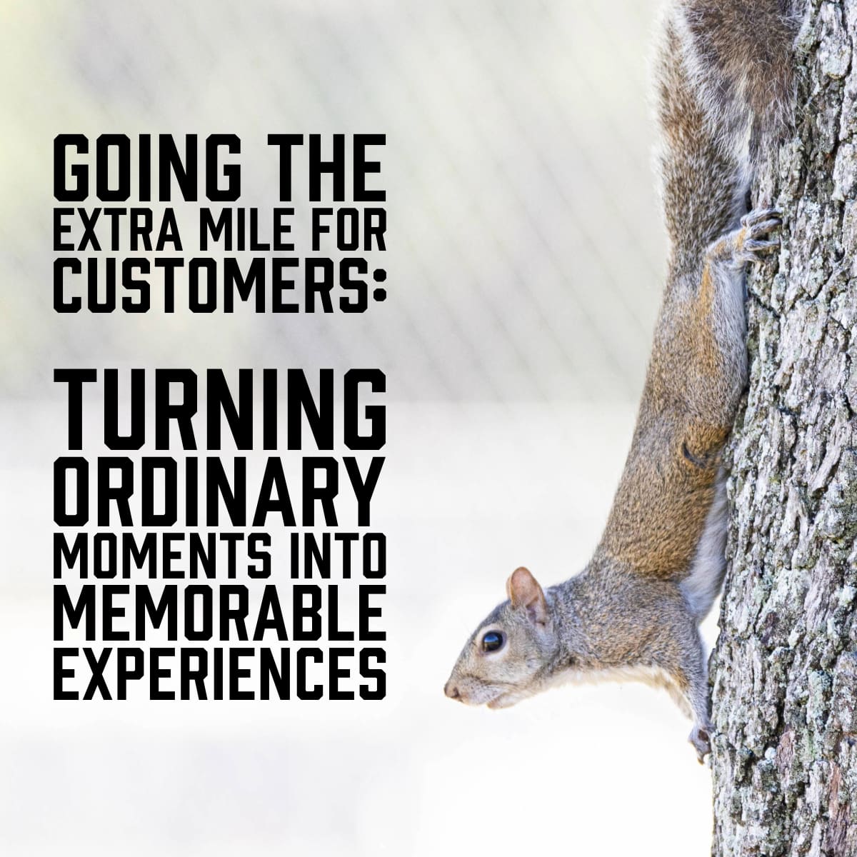 Going the Extra Mile for Customers | Paradux Media Group