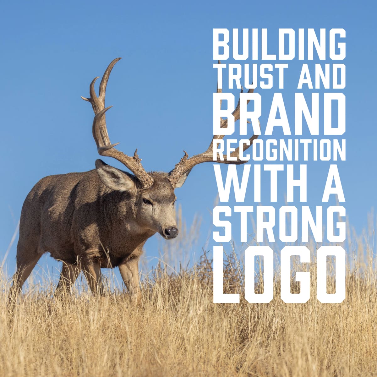 Building Trust and Brand Recognition with a Strong Logo | Paradux Media ...