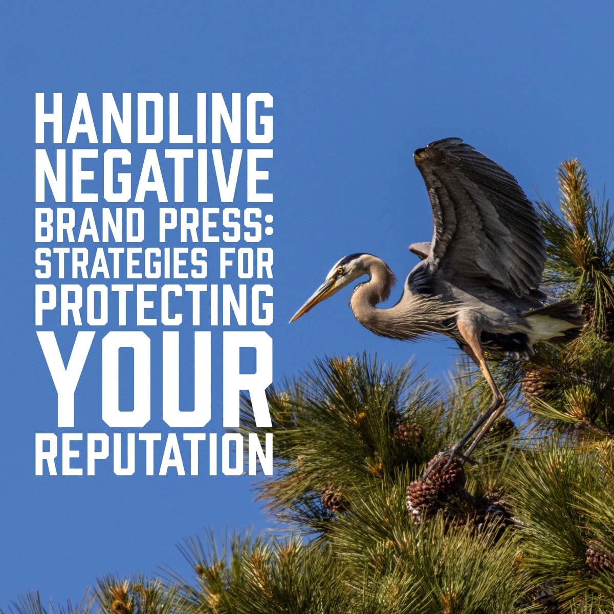 Handling Negative Brand Press | Paradux Media Group
