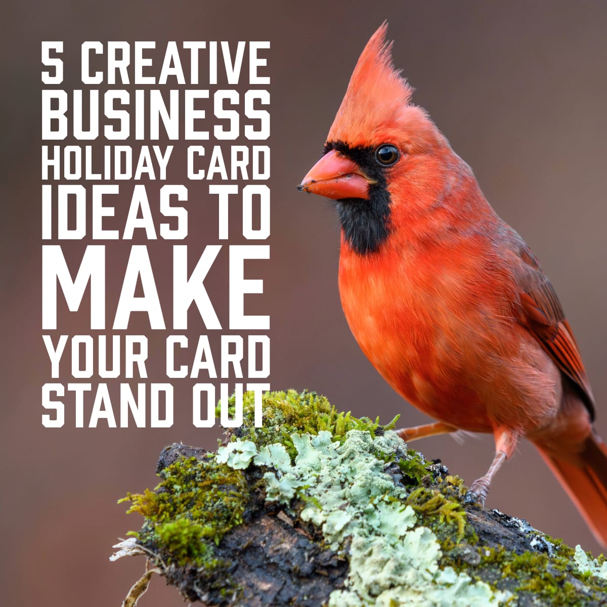 5 Creative Business Holiday Card Ideas to Make Your Card Stand Out