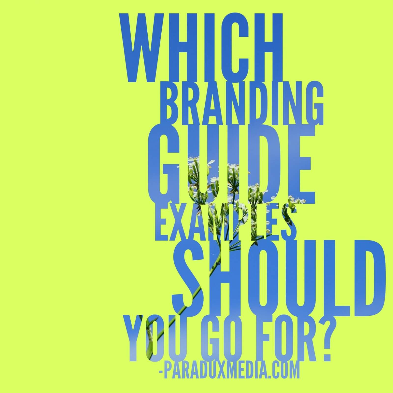 which-branding-guide-examples-should-you-go-for-paradux-media-group