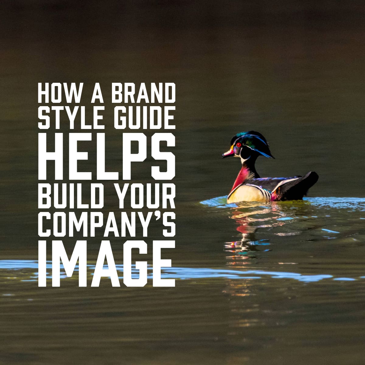 How a Brand Style Guide Helps Build Your Company’s Image | Paradux ...