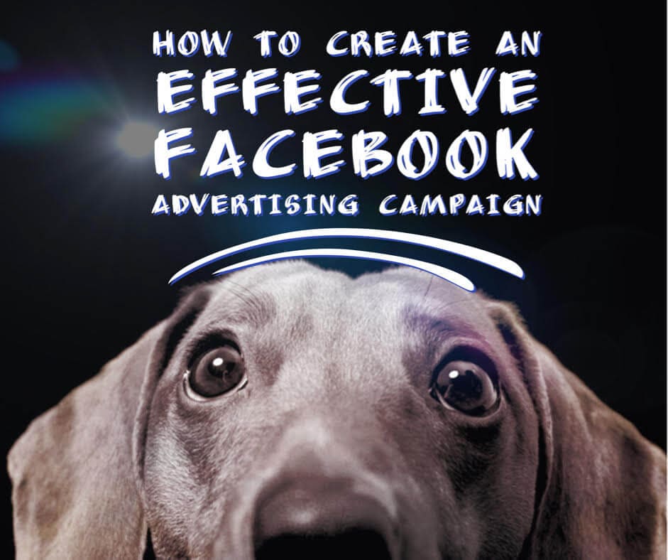 How to Create an Effective Facebook Advertising Campaign | Paradux