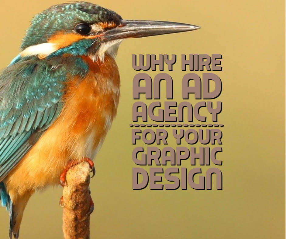 Why Hire An Ad Agency For Your Graphic Design? | Paradux Media Group
