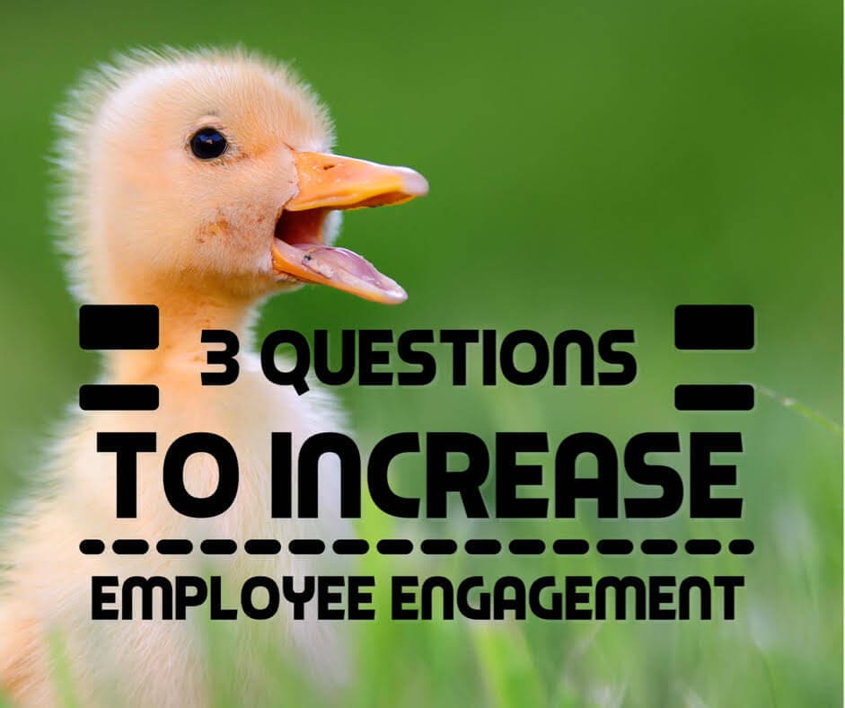 3 Questions to Increase Employee Engagement | Paradux Media Group