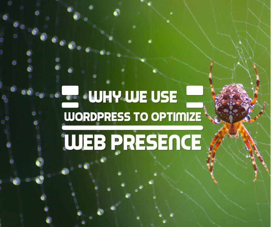 Why We Use WordPress to Optimize Web Presence | Paradux Media