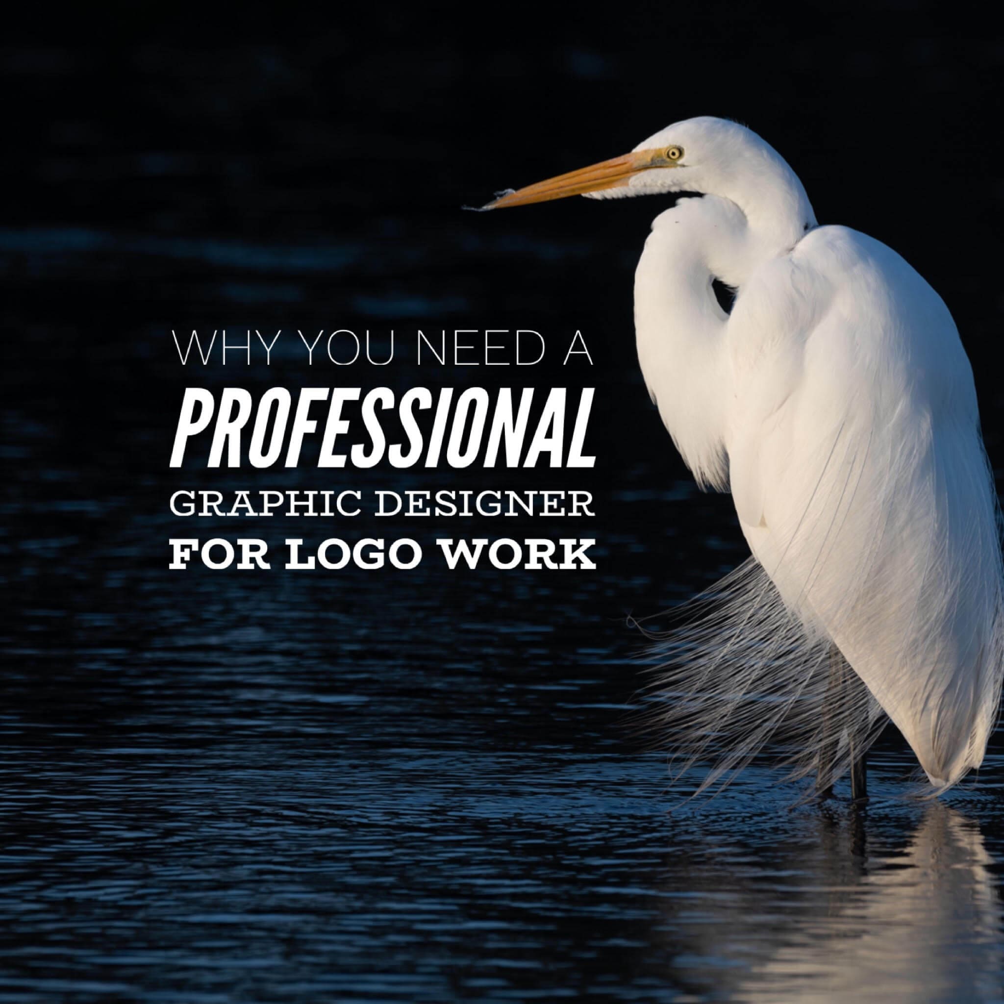 Why You Need a Professional Graphic Designer for Logo Work | Paradux