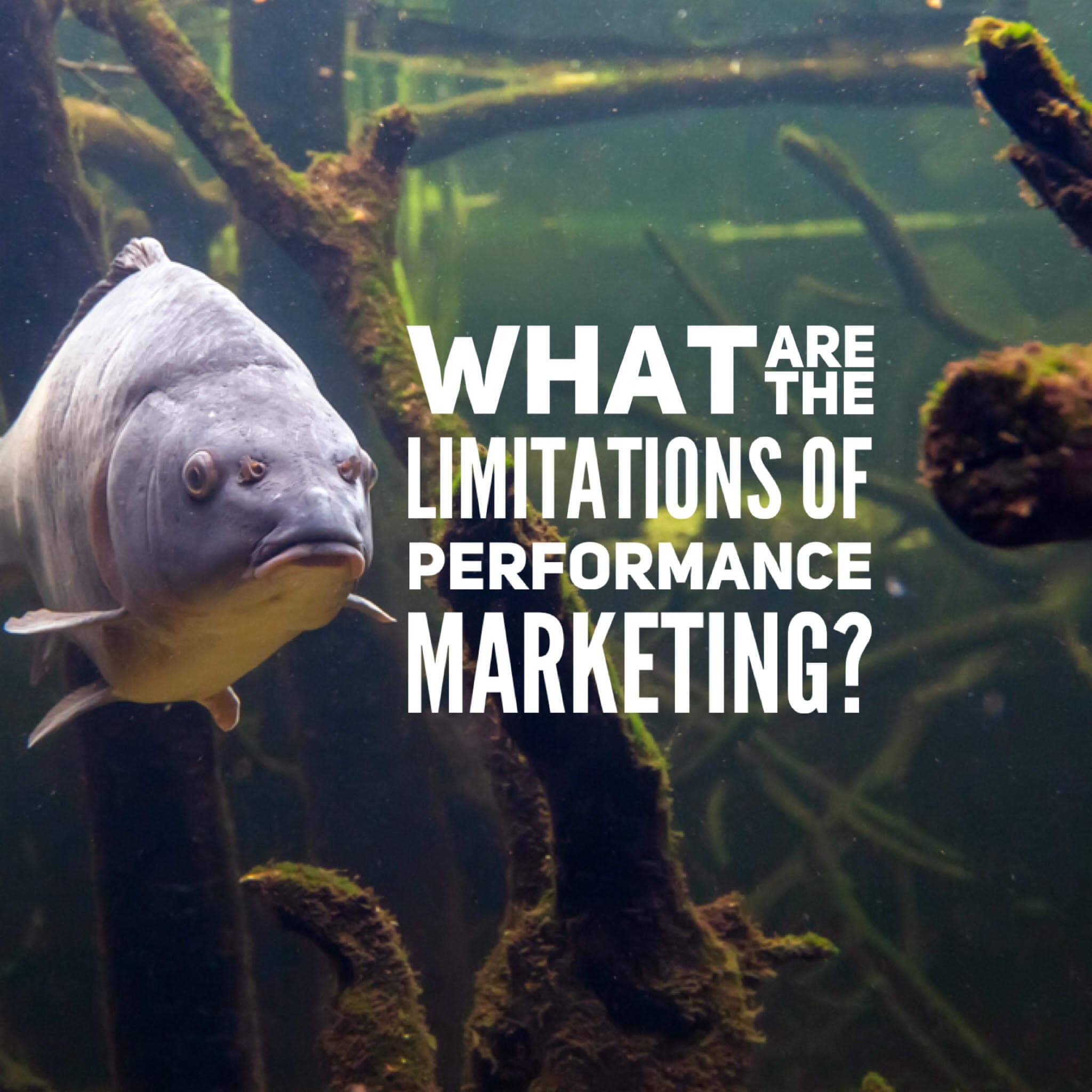 What are the Limitations of Performance Marketing? | Paradux Media Group