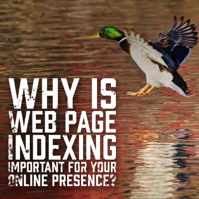 Why is Web Page Indexing Important for Your Online Presence? | Paradux ...