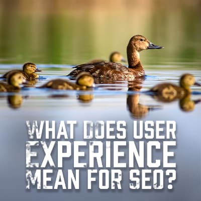What does User Experience mean for SEO? | Paradux Media Group